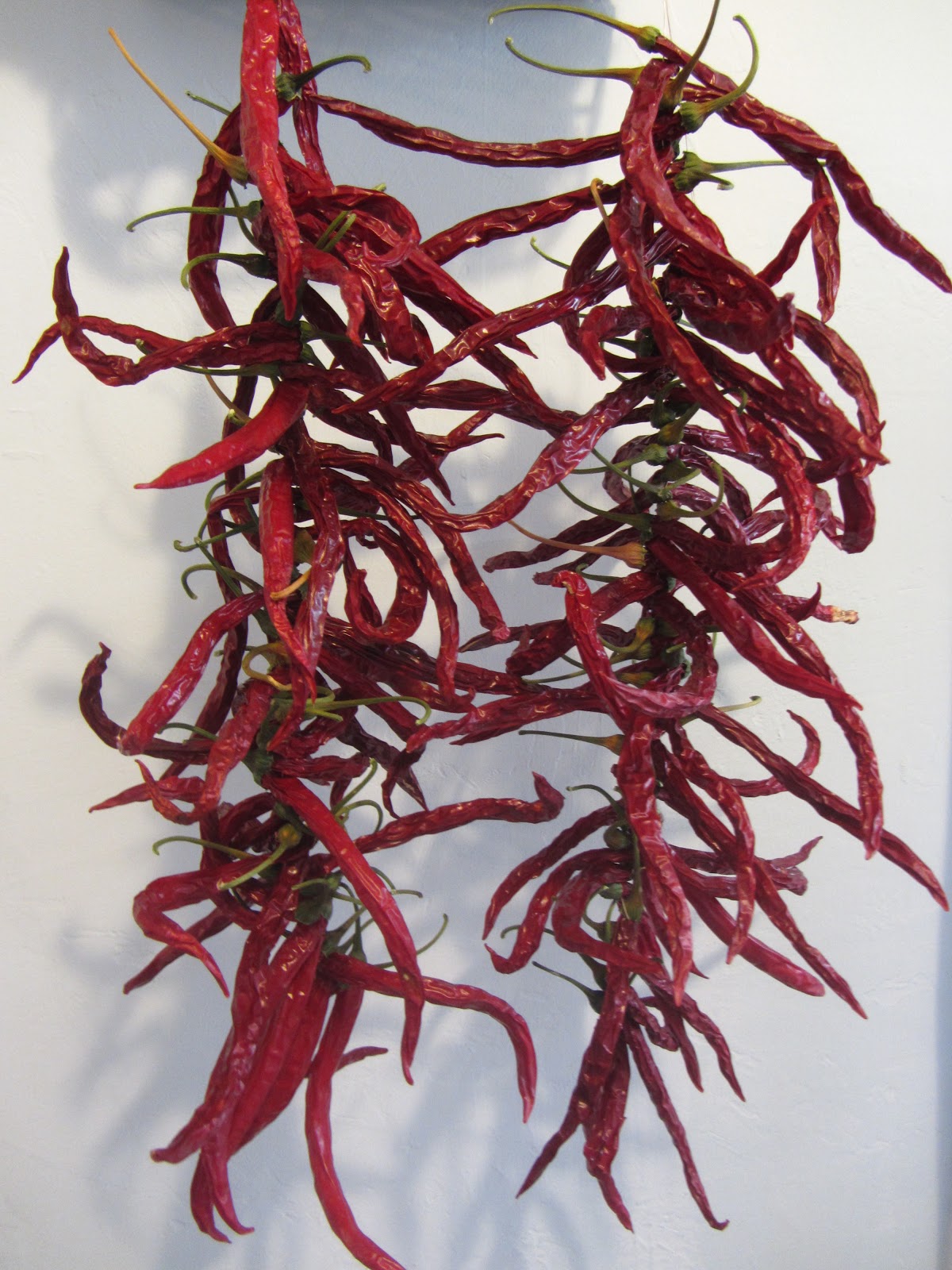 Quiltedtime: Stringing Peppers